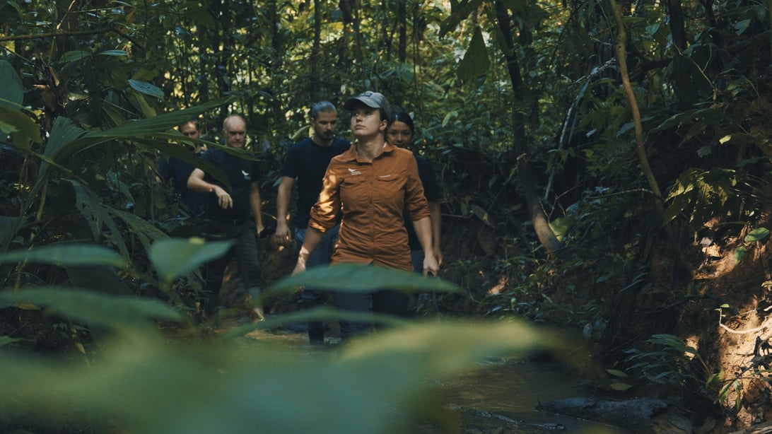 DJI Drones Take Flight for Biodiversity: eDNA Sampling from the Canopy