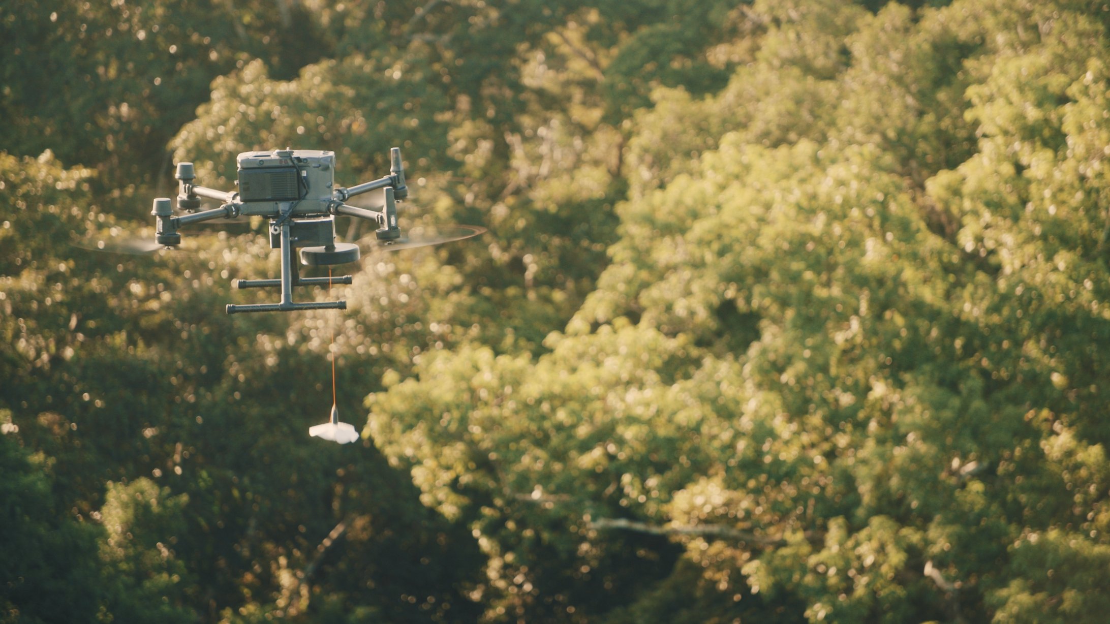 DJI Drones Take Flight for Biodiversity: eDNA Sampling from the Canopy