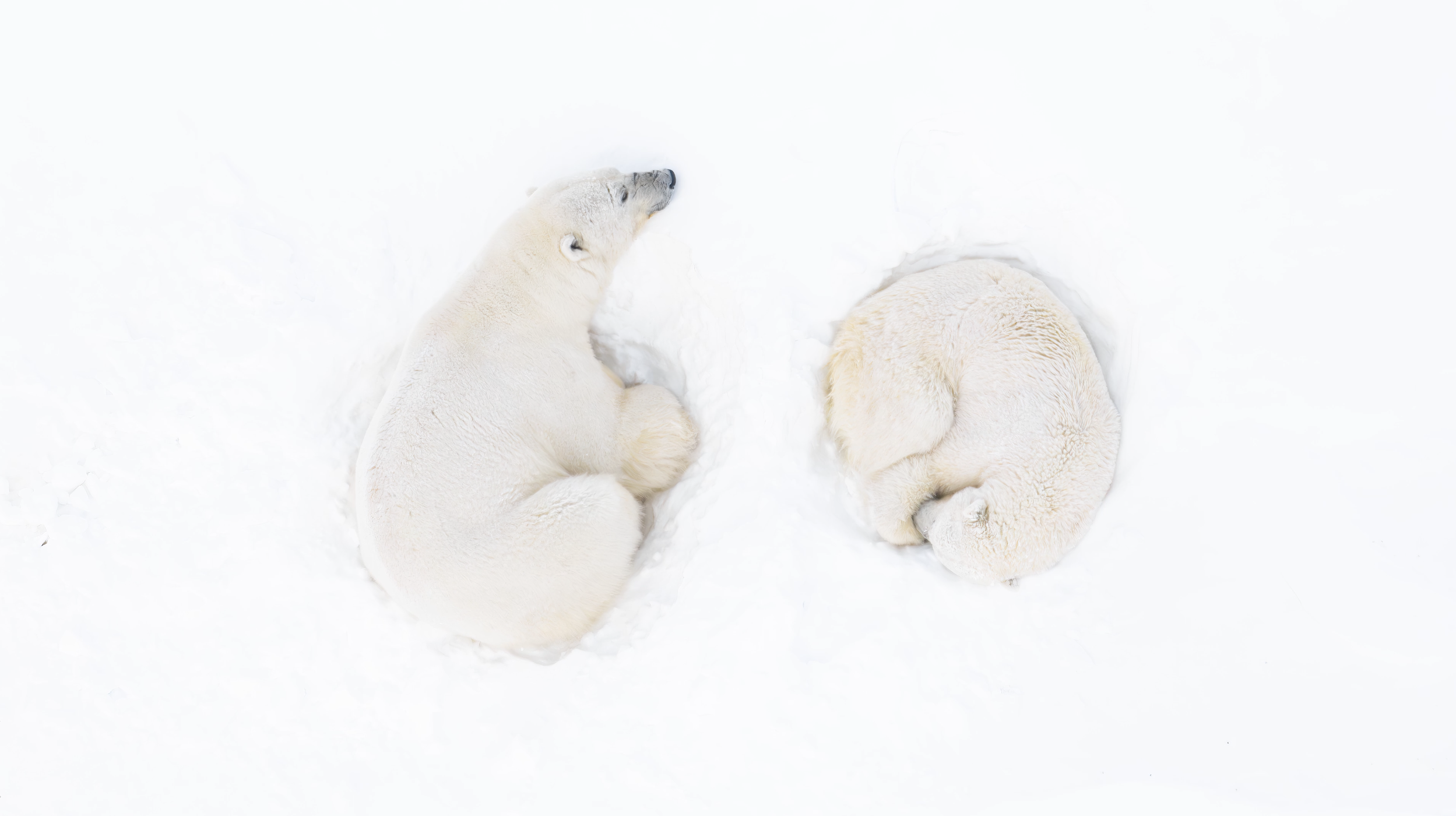 DJI Profiles - Florian Ledoux - Polar Obsession
