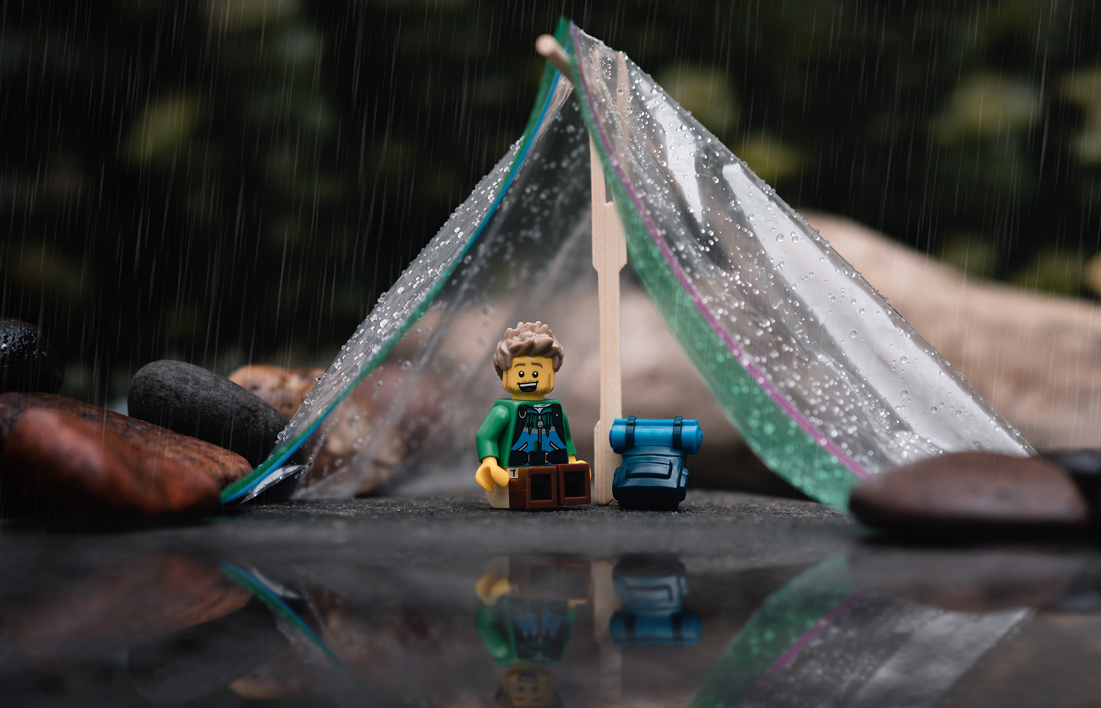 Stay Home Stay Creative: Winner Spotlight